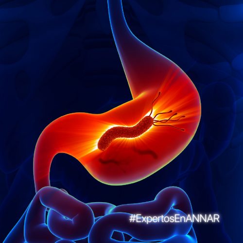 ¿Qué sabes acerca de la elastasa pancreática? - ANNAR Health ...