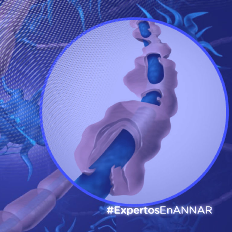 Diagnóstica - ANNAR Health Technologies - Colombia