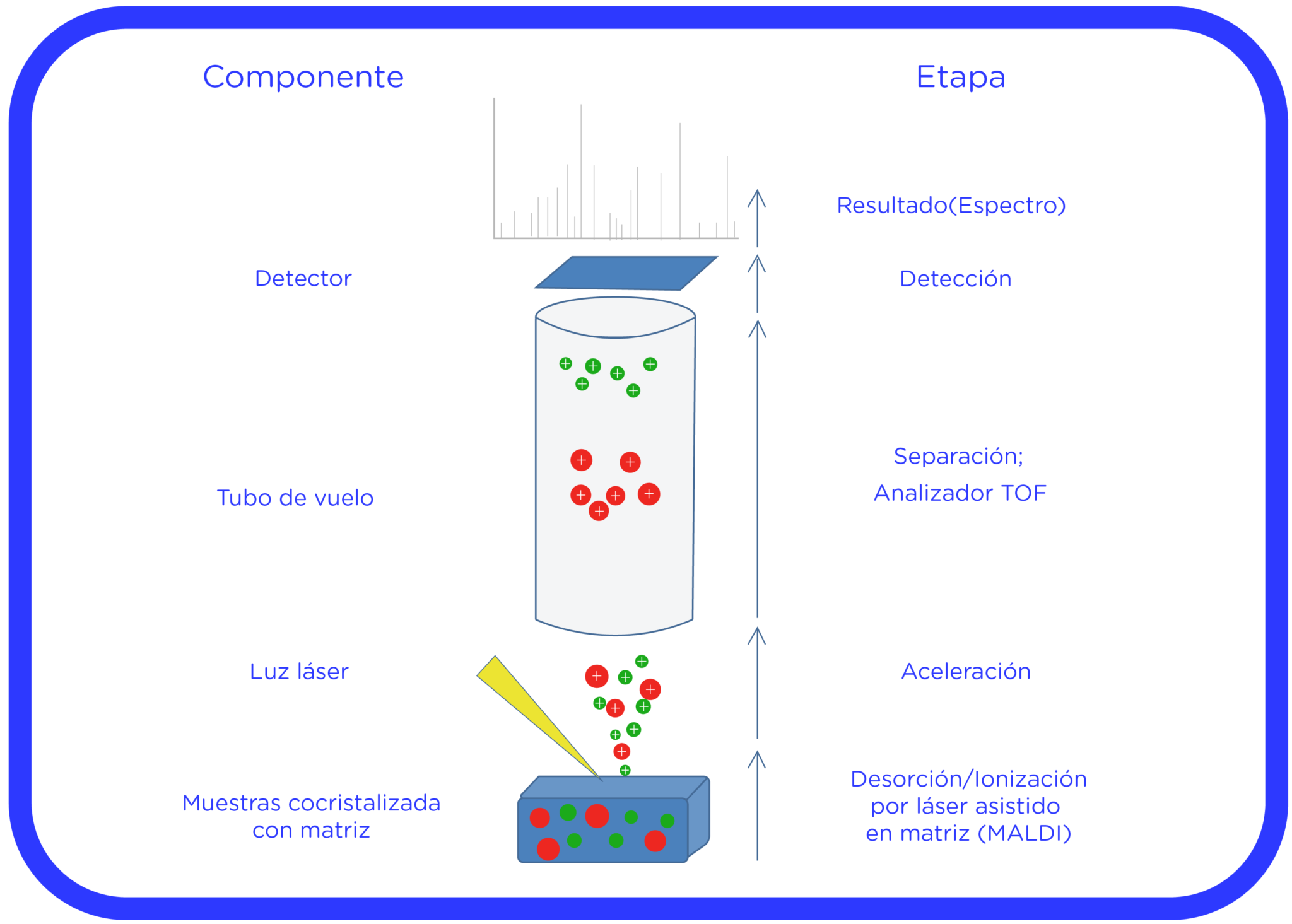 Espectrometría de masa en diagnóstico microbiológico - ANNAR Health ...