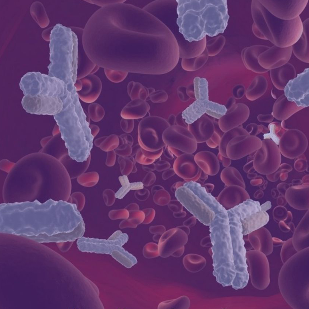 Marcadores claves en la diabetes autoinmune - ANNAR Health Technologies ...